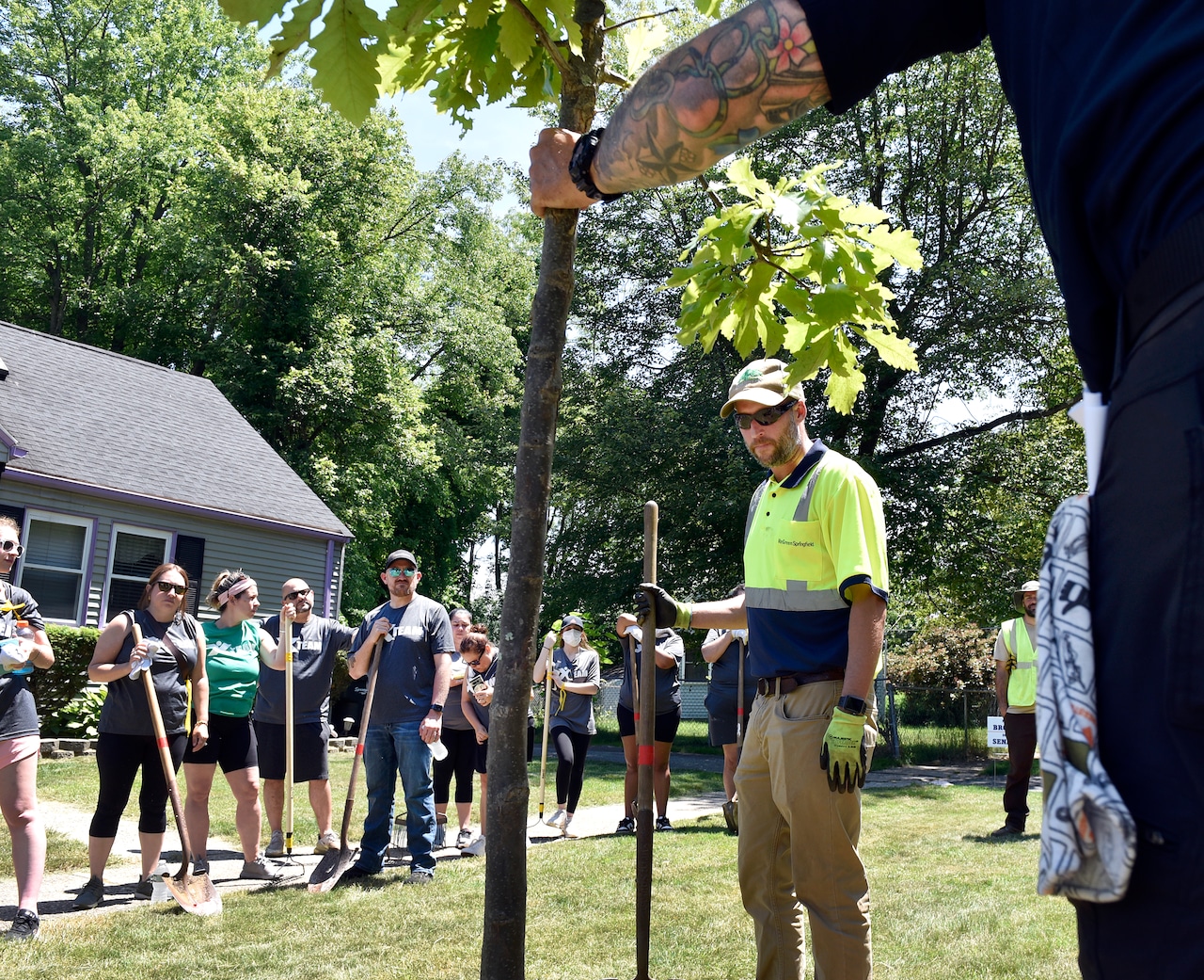 Springfield to expand tree canopy with $6 million in grants - Stirm Group
